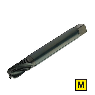 Machuelos en Monterrey 】