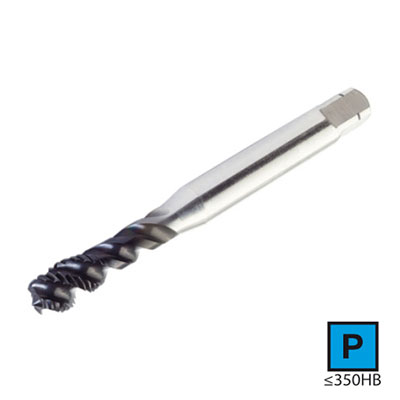 Machuelos en Monterrey 】