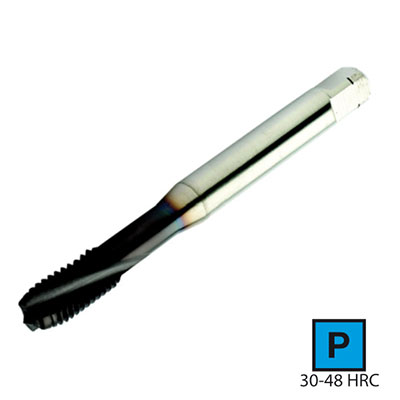 Machuelos en Monterrey 】