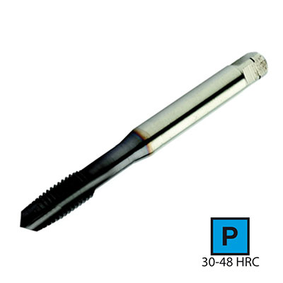 Machuelos en Monterrey 】